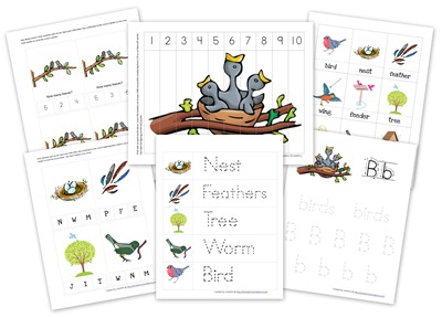 Birds Preschool Pack ~ Bird Printables
